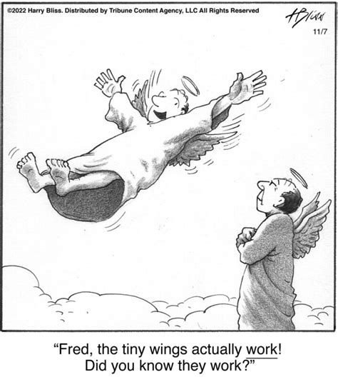 Fred The Tiny Wings