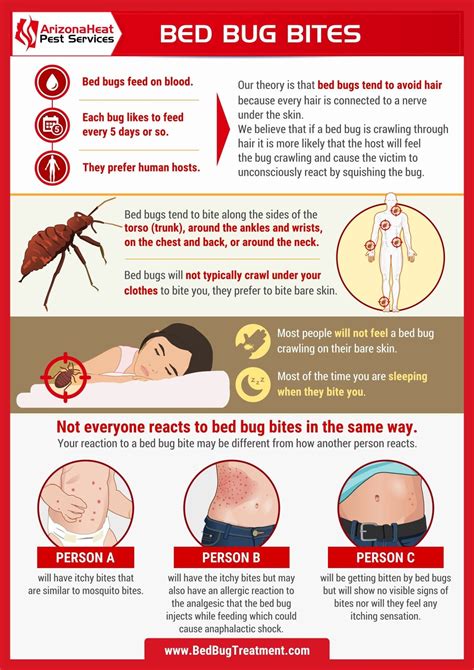 Unmasking The Mystery Visual Guide To Identify Bed Bug Bites Huffington News Bed Bug Bites
