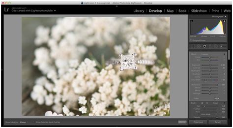 3 Go To Lightroom Editing Tips Ask Anything Virginia Wedding