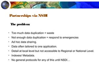 NSDI Concepts And Components PPT Databases Computer Software And Applications