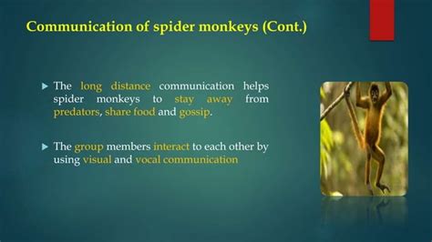 Spider Monkey Optimization Algorithm Pptx Biological Sciences Science