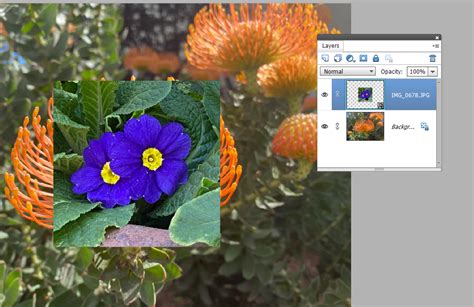 Solved Merging Editororganiser Layers Adobe Support Community