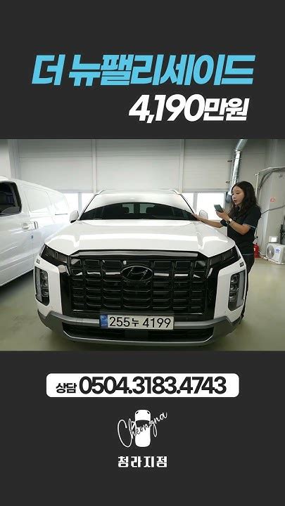 팰리세이드 팰리세이드중고 더뉴팰리세이드 4천만원대중고차 Youtube