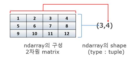 Basic Numpy 기본