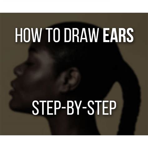 How To Draw Ears Step By Step Easily With Images Don Corgi