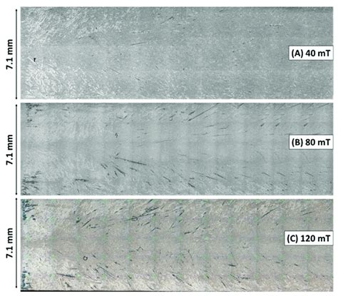 Macrostructures Of Solidified Samples During Step Four Of The