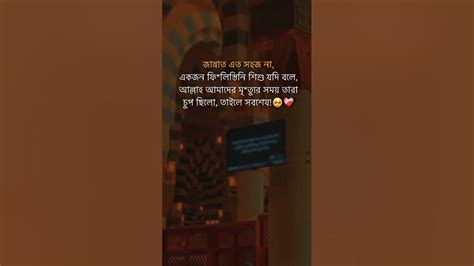 হে আল্লাহ আমার মুসলমান ভাই বোনদের হেফাজত করো 🥺 Youtube