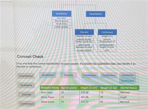 Solved Drag And Drop The Correct Classification For Each Chegg