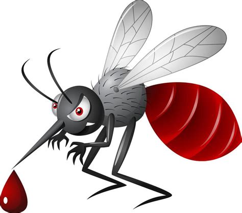 Mosquito Cartoon Vector Art Icons And Graphics For Free Download