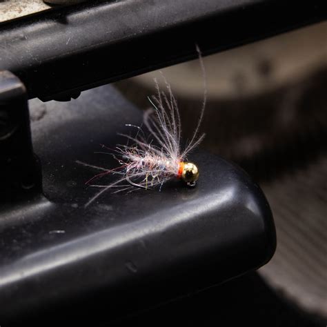 Candy Worm Candy Flies