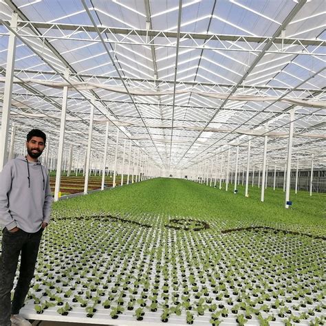 Amr Asem On Linkedin Greenhouse