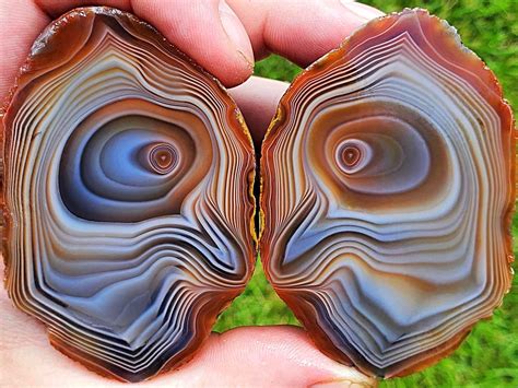Agate Types And Varieties Geology Science