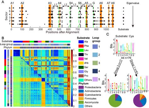 李志远课题组 标准化框架促进nrps的功能预测和结构分析 北京大学定量生物学中心