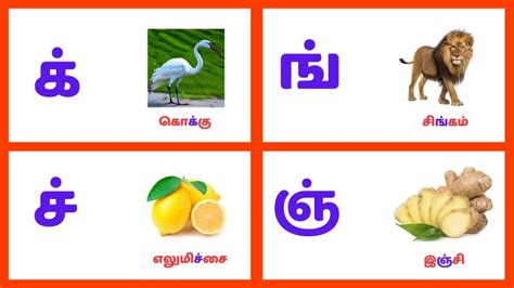 Mei Eluthukkal In Tamil தமிழ் மெய் எழுத்துக்கள் Adipadai Tamil Learn Tamil Preschool