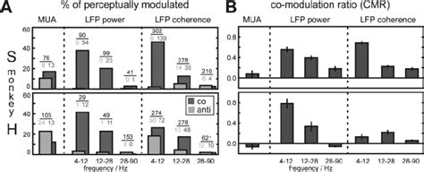 Overview Of Population Data On Perception Related Modulations For
