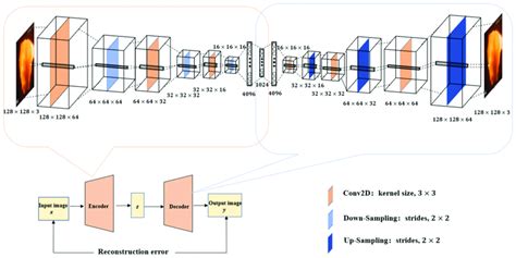 The Architecture Of The Cae Network Download Scientific Diagram