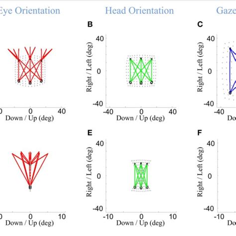 Temporal Pattern Of Development Of Eye Head And Gaze Orientations