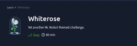 Cybersecurity Tryhackme Ctf Ssti Ejs Websecurity Bugbounty Hacking Infosec Pentesting