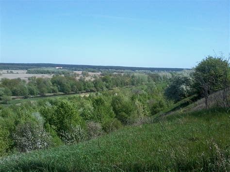 Фермерский дворик Продукты от Природы КУРИНЫЕ ЯЙЦА ЗЛО ИЛИ ПОЛЬЗА ⠀ «Мы не едим куриные