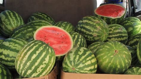 Шинэ ургацын хүнсний ногоо 1500 7000 төгрөгний үнэтэй байна