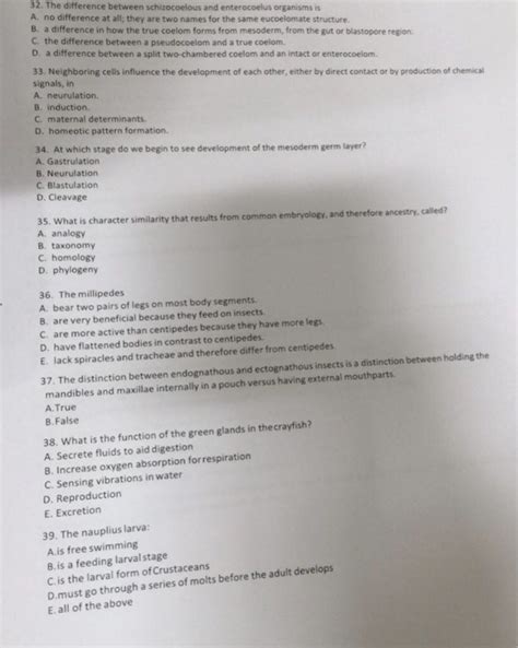 Solved 32 The Difference Between Schizocoelous And