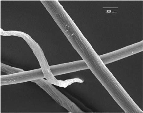 Sem Image Scale 100 Nm Of Nanocellulose Obtained From Rice Husk