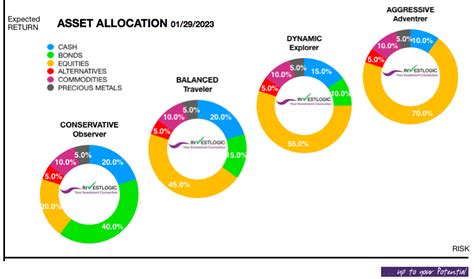 Investment Strategy And Asset Allocation Investlogic