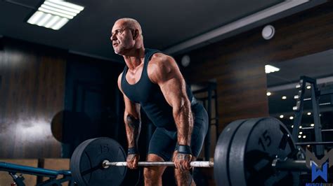 Upper Lower Intermediate Routine Routine Training Program Musclewiki