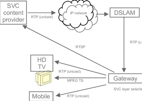 Live Scenario Layered Multicast Download Scientific Diagram