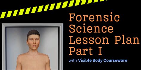 Forensic Science Lesson Plan Part I Directional Terms With Visible Body
