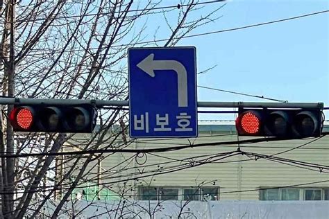 자동차 하 빨간불 누구냐” 이러니 교차로에서 X쳤냐고 욕 먹지