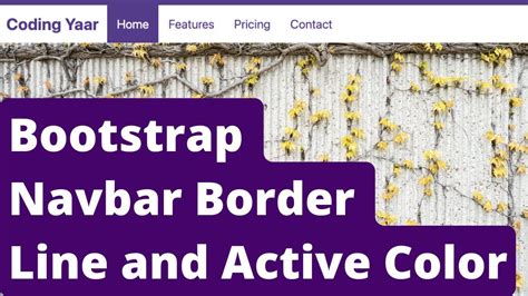 Bootstrap Navbar Border Youtube