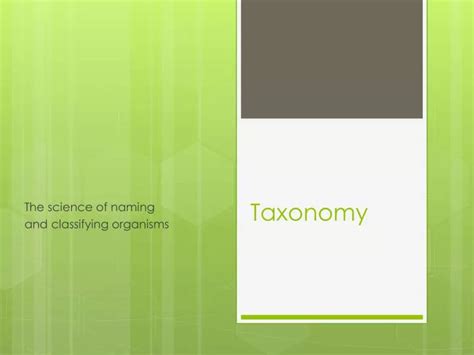 PPT Taxonomy PowerPoint Presentation Free Download ID