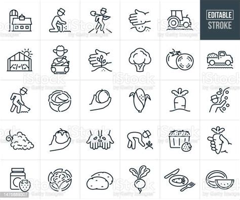 야채와 과일 농업 및 원예 얇은 선 아이콘 편집 가능한 스트로크 원예에 대한 스톡 벡터 아트 및 기타 이미지 원예 비닐하우스 토마토 채소 Istock
