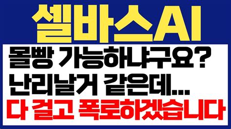 셀바스ai 셀바스ai주가전망 셀바스ai주가 셀바스ai주식 셀바스ai목표가 셀바스ai분석 셀바스ai종목분석 Ai