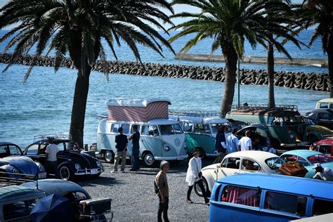 Chita Bug • Instagram Photos And Videos