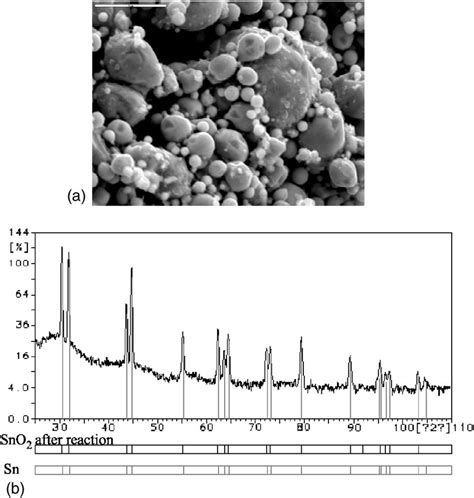 Microstructure Sem Picture Of Pure Tin Dioxide Powder After The Download Scientific Diagram