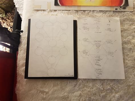 Old And New Layout Of The Tree Of Life Also Some Unfinished Artwork And My Tortoise S Rock Old And New Layout Of The Tree Of Life Also Some Unfinished Artwork And My Tortoise S Rock