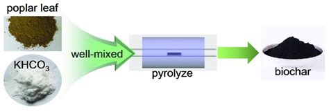 Scheme 1 Schematic Representation Of The Biochar Synthesis From Poplar Download Scientific
