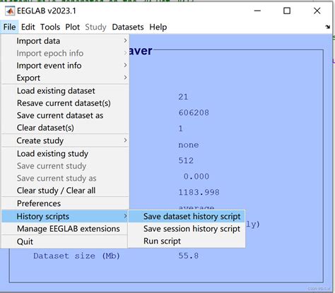 eeglab学习：从手动操作到脚本实现半自动操作 怎么使用eeglab的history功能导出脚本 csdn博客