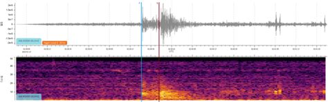 Raspberry Shake Basic Concepts