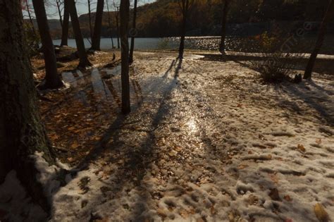 뉴욕의 아름다운 가을 풍경 사진 배경 및 무료 다운로드를위한 그림 Pngtree