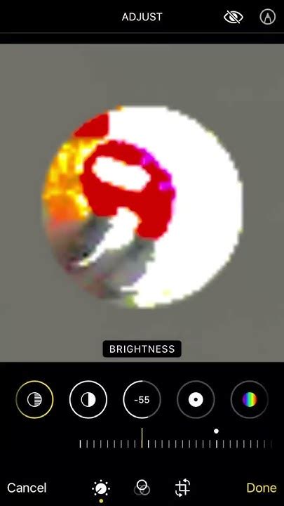 Ianethaniel Is Poland 🇵🇱 Youtube