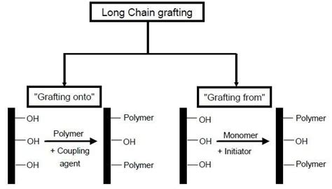 The Schematic Illustration Of Polymer Grafting Onto And From Download Scientific Diagram