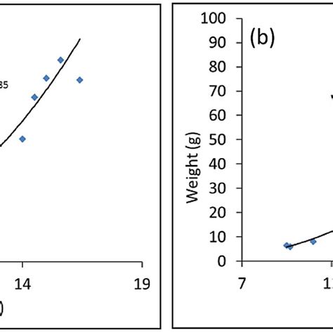 Graph Of Length Weight Relations Of B Pectinirostris At Stasiun Ii A