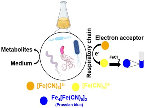 A Label Free And Ultrasensitive Prussian Blue Based Dipstick Sensor For Bacterial And Biofilm