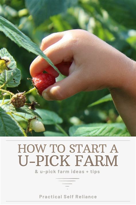 U Pick Farm Ideas Artofit