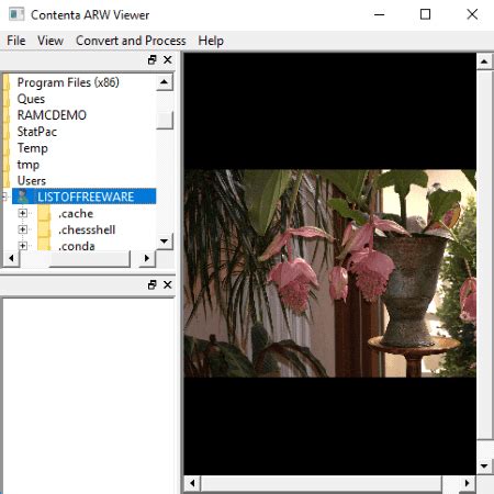Best Free ARW File Viewer Software For Windows