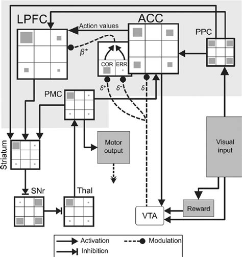 Computational Model Visual Input Eg Targets Seen On A Screen Or
