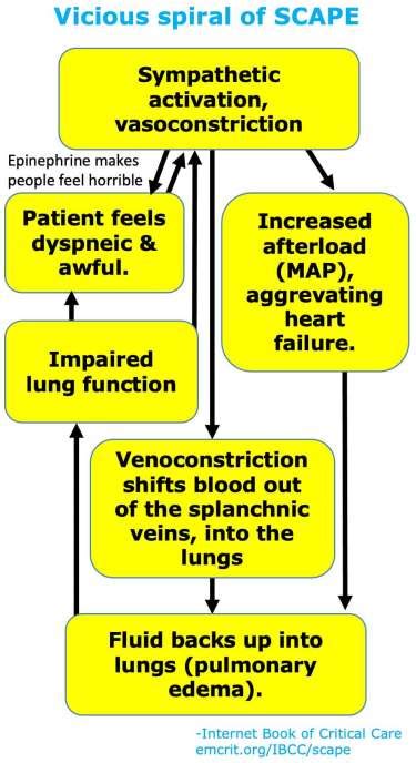 Sympathetic Crashing Acute Pulmonary Edema Scape Emcrit Project